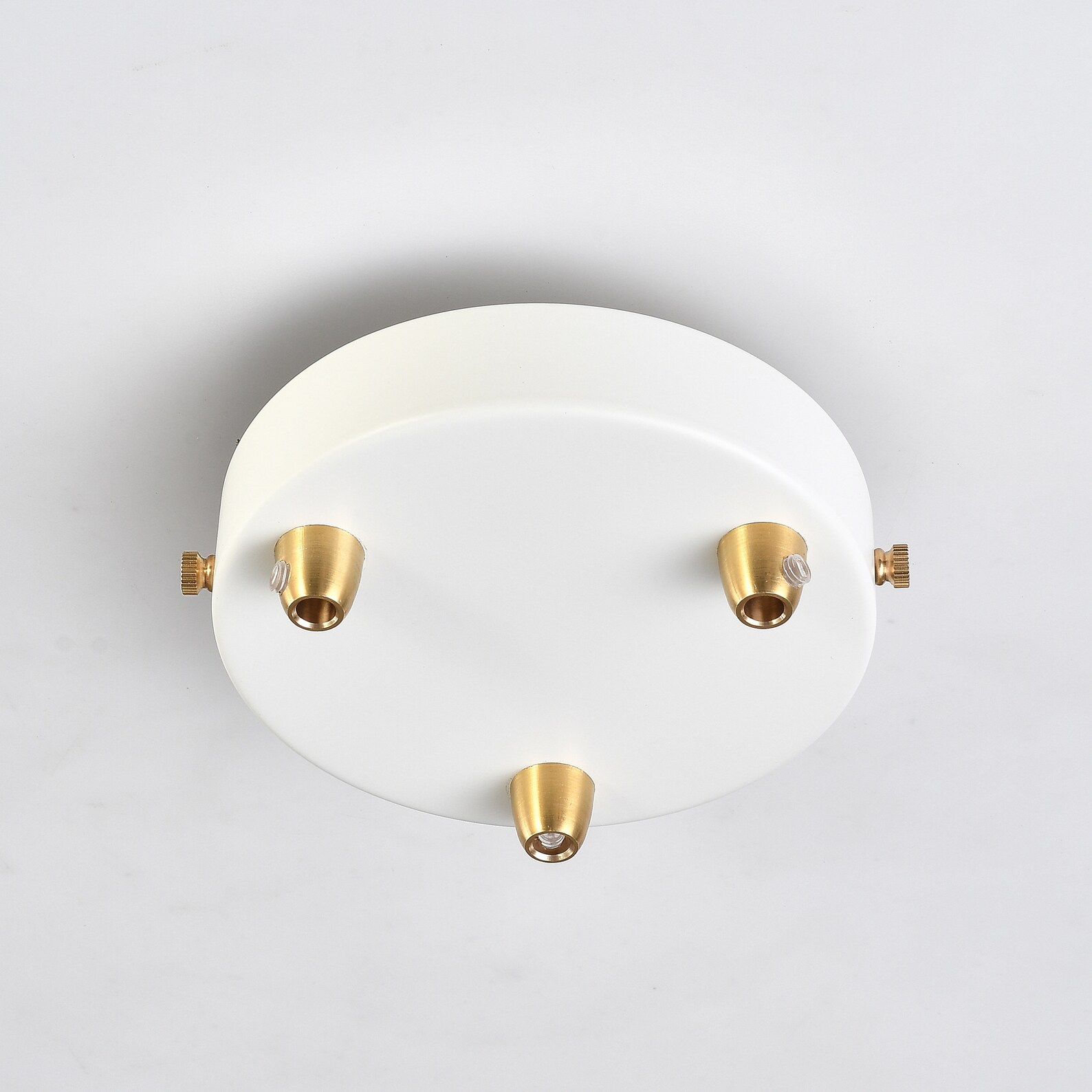 2-port White 4.7in Ceiling Canopy With Brass Hardware - Plug-in to ...