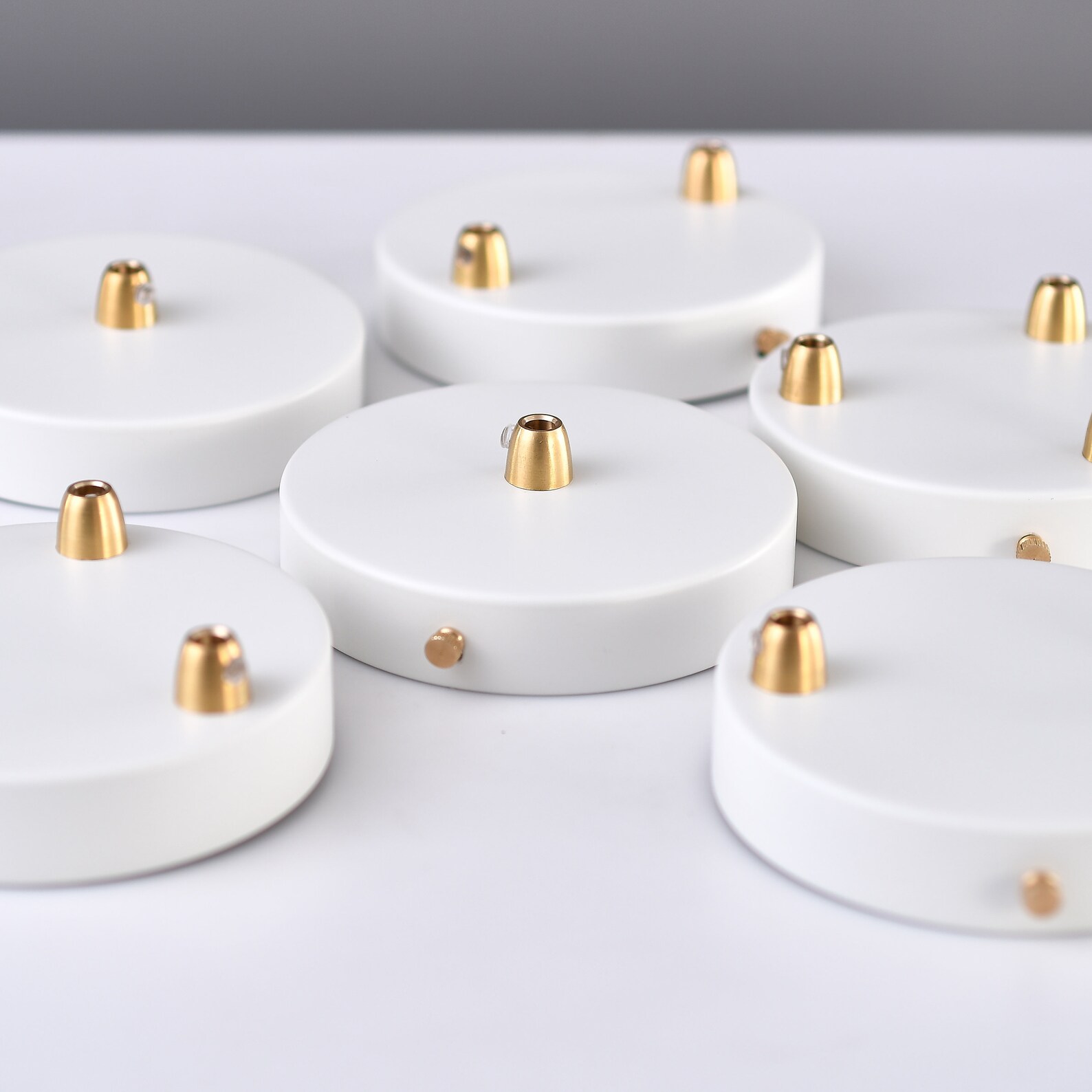 2-port White 4.7in Ceiling Canopy With Brass Hardware - Plug-in to ...