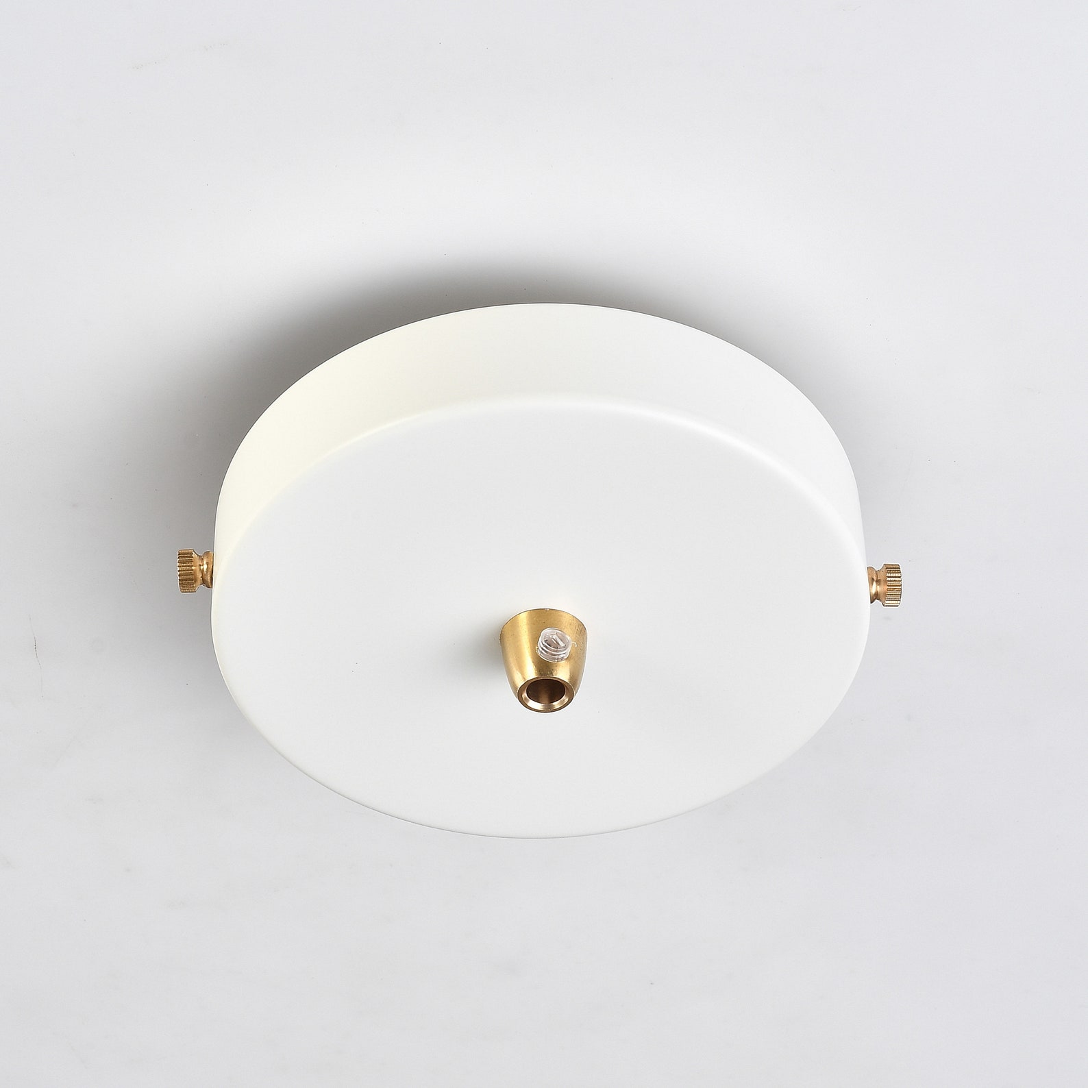 2-port White 4.7in Ceiling Canopy With Brass Hardware - Plug-in to ...