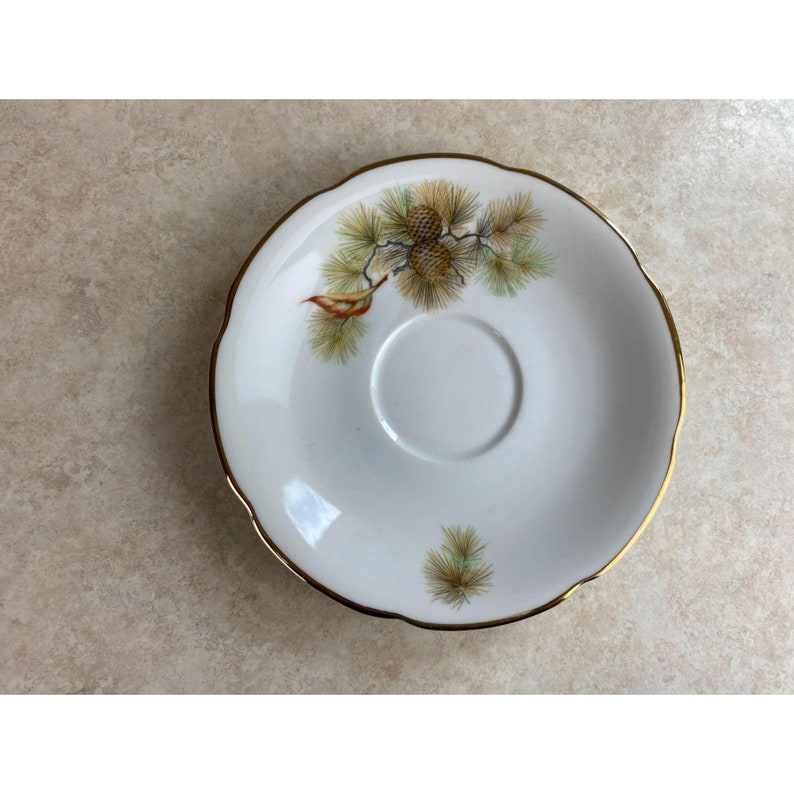 Pine Tree Fine Translucent Japan Bone China Tea Cup And Saucer | Etsy