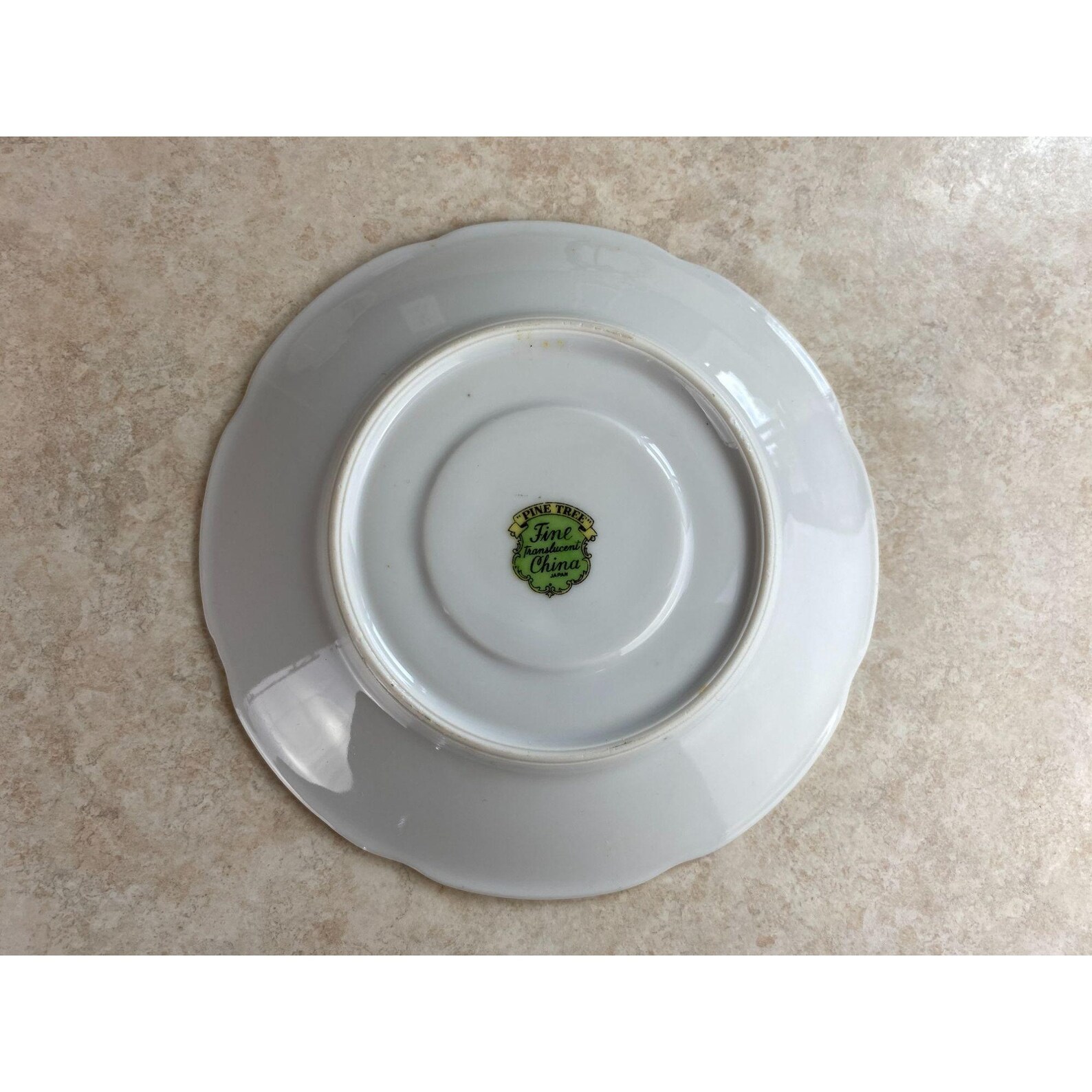 Pine Tree Fine Translucent Japan Bone China Tea Cup and Saucer - Etsy ...