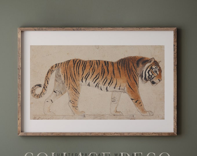 Tiger Drawing Skecth, Vintage Instant Download Wild Animal Art Print ...