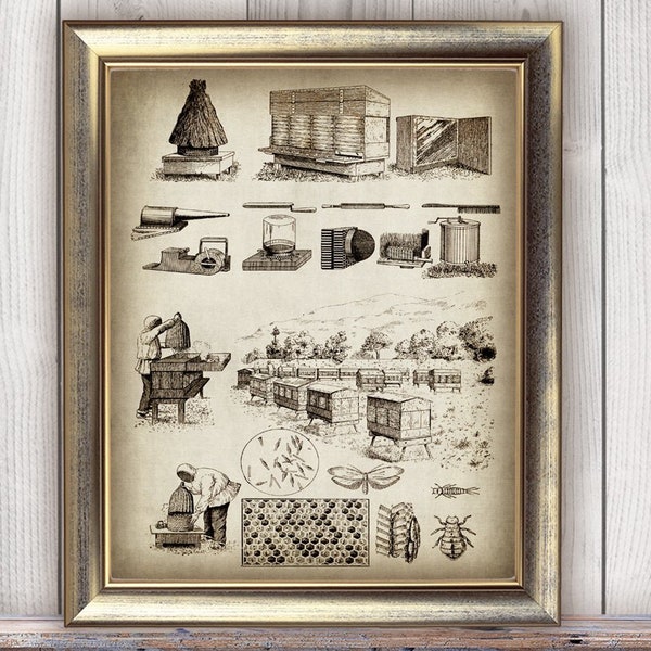 Apiculture - Etsy