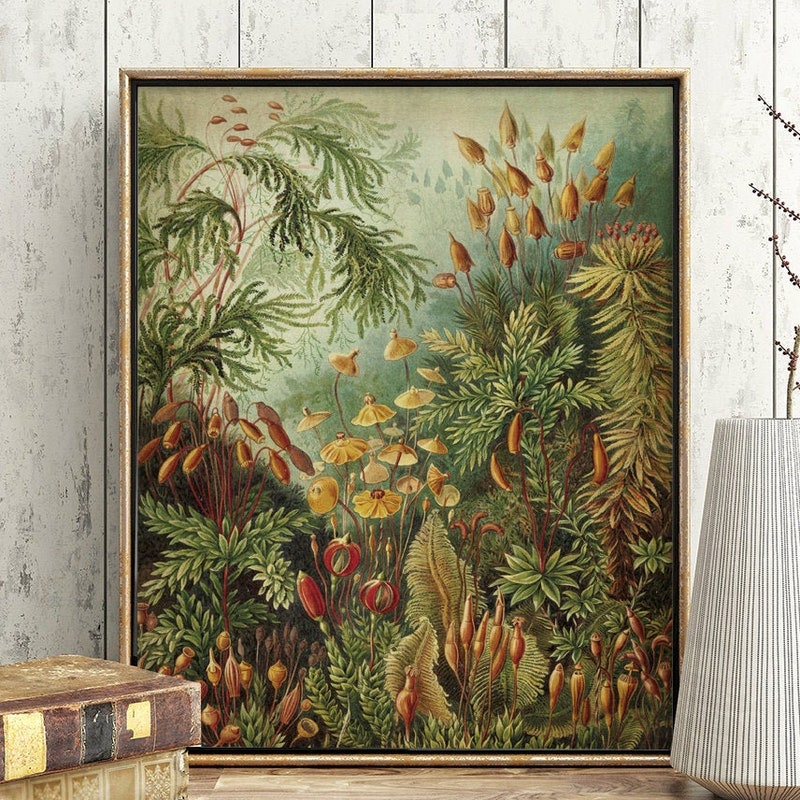 Moss Print - Etsy