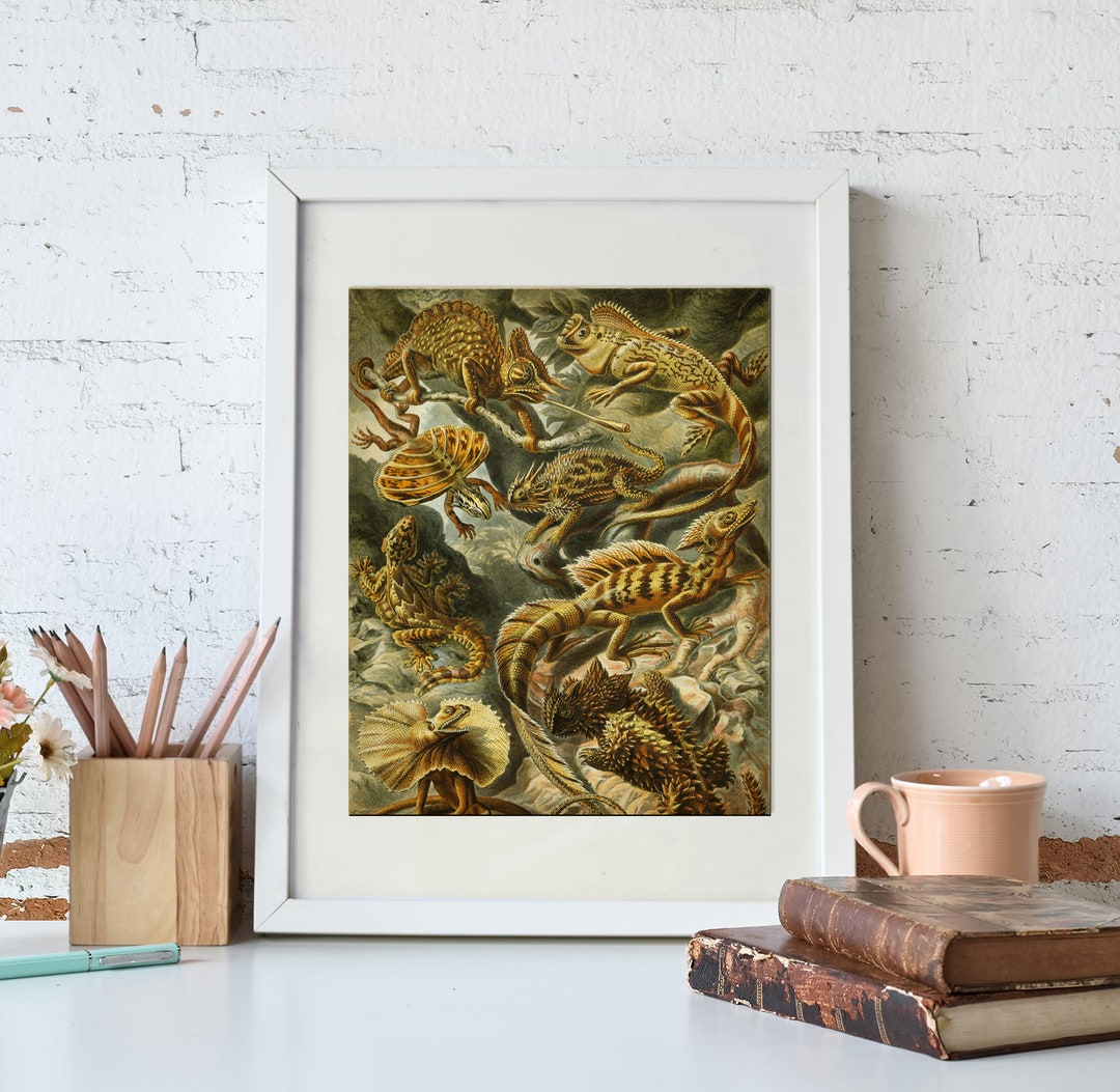 Lizards Print, Printable Lizard Chart Digital Download Illustration ...