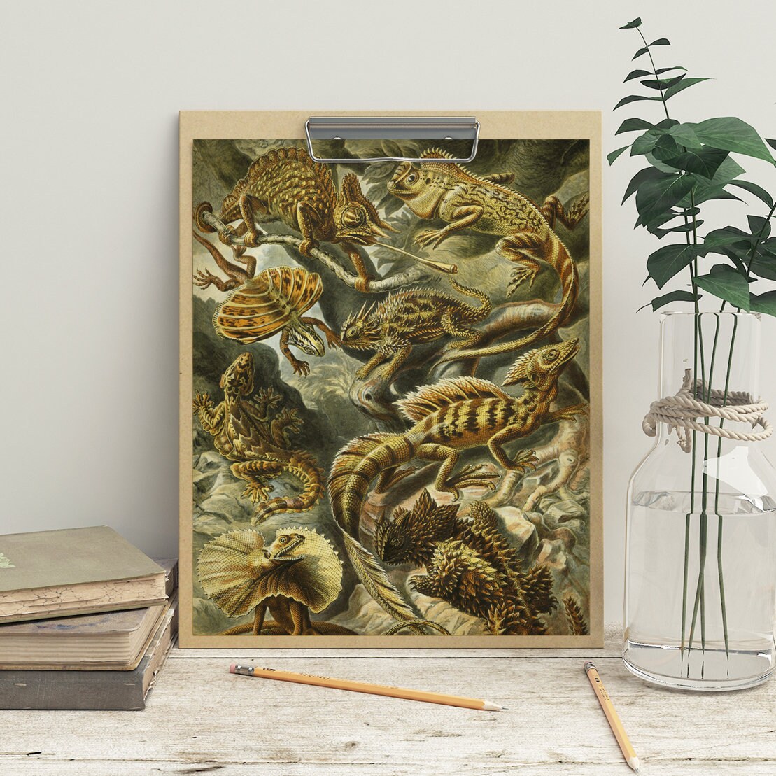 Lizards Print, Printable Lizard Chart Digital Download Illustration ...
