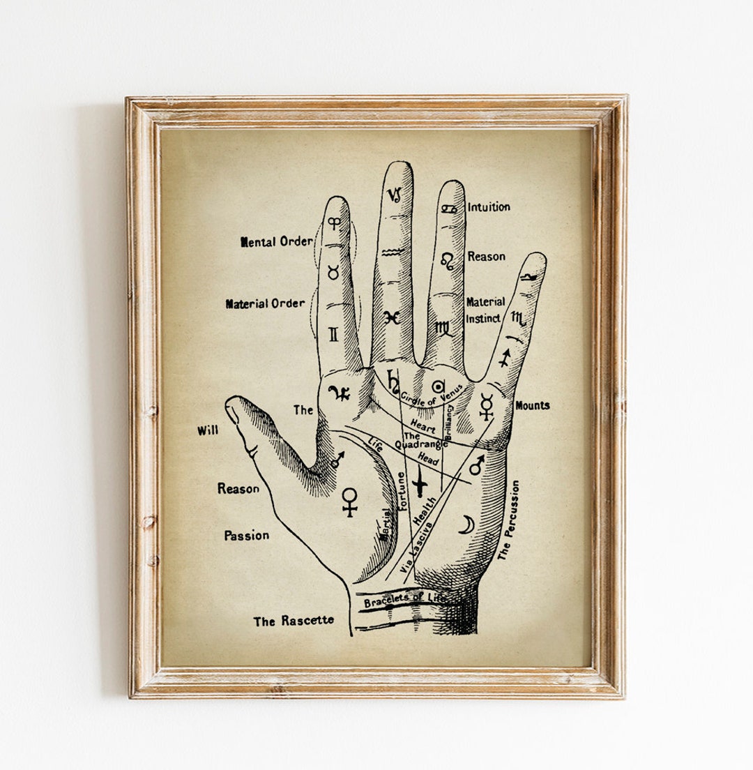 Palmistry Art Print: Vintage Chiromancy Line Drawing (digital Download ...