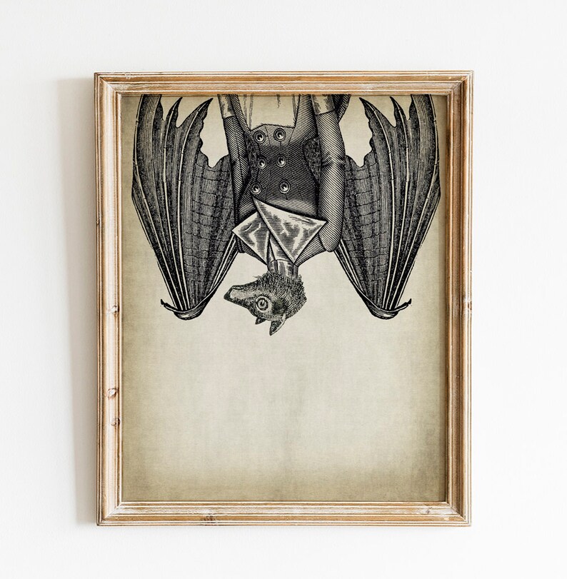 Female Bat Portrait PRINTABLE Vintage Illustration Female - Etsy