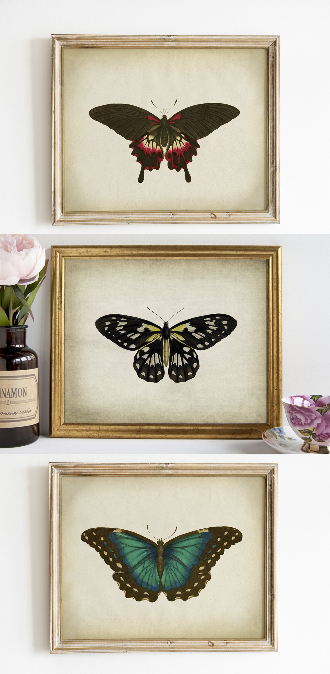 Butterfly Print SET of 3 PRINTABLE Vintage Butterfly Art - Etsy