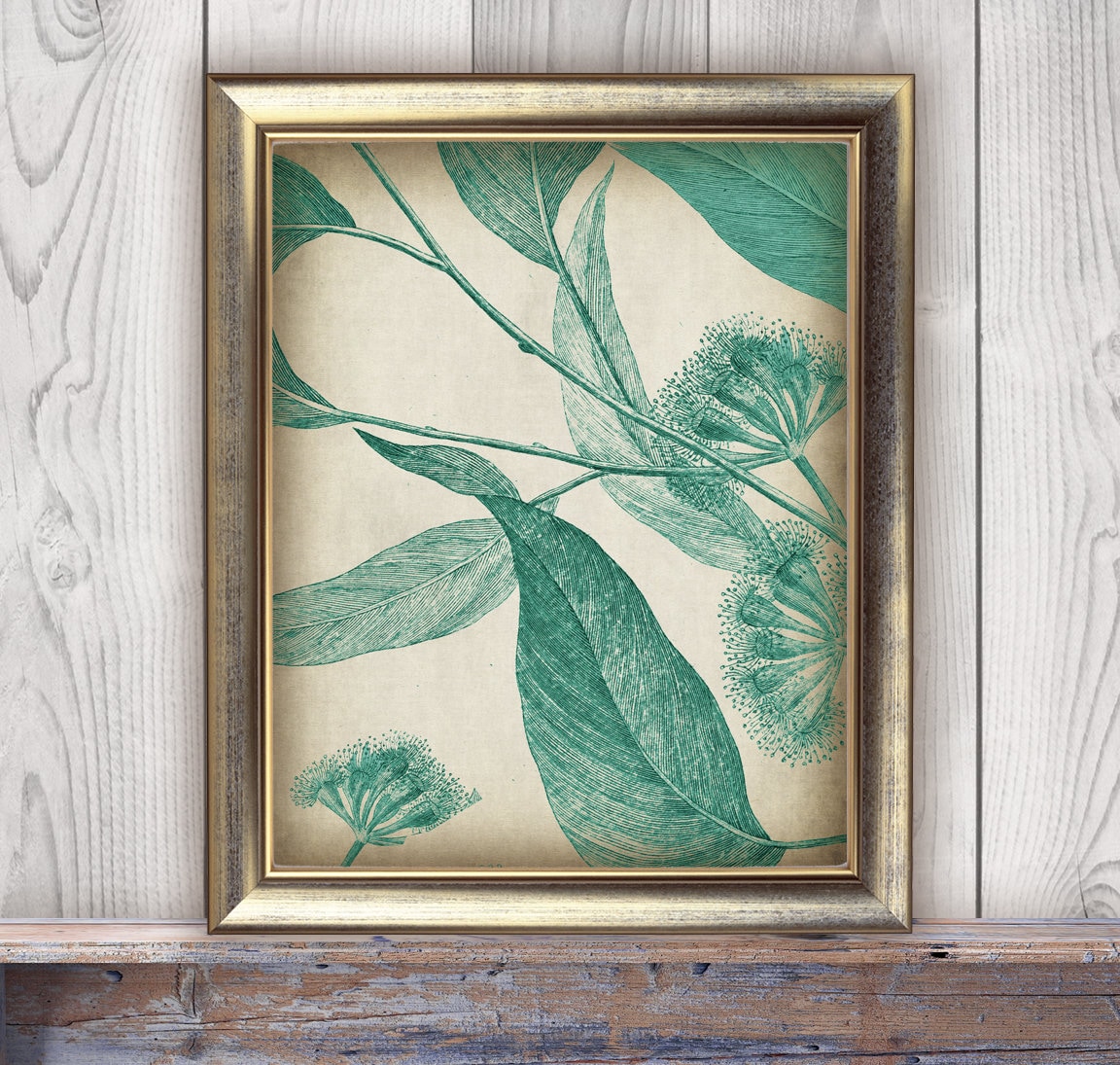 BOTANICAL Print SET of 4 PRINTABLE Green Plants, Eucalyptus Botanical ...