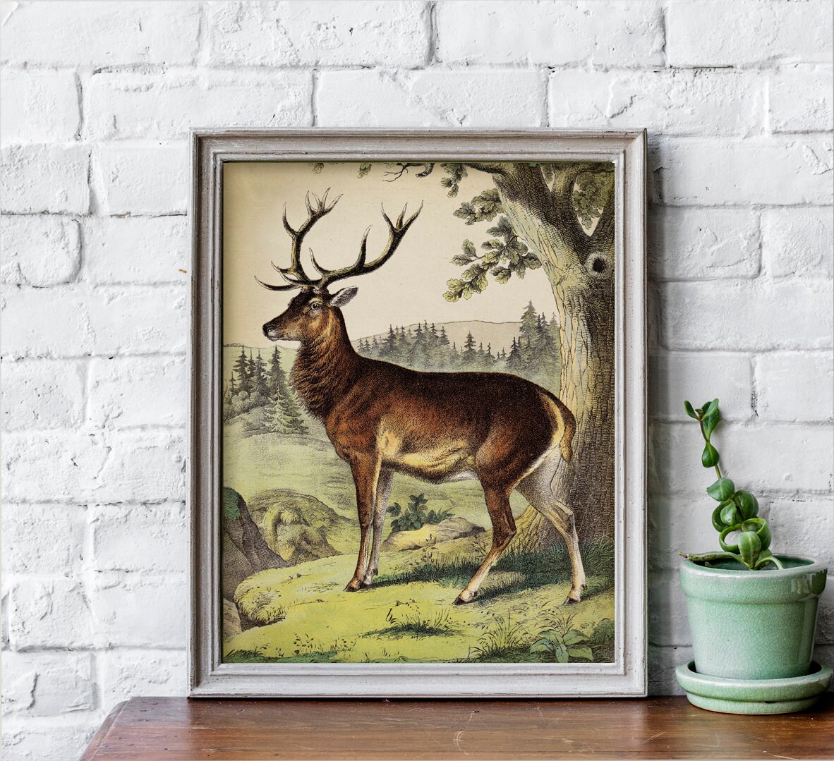 Deer Print PRINTABLE Vintage Deer Art Woodland Forest Fauna | Etsy