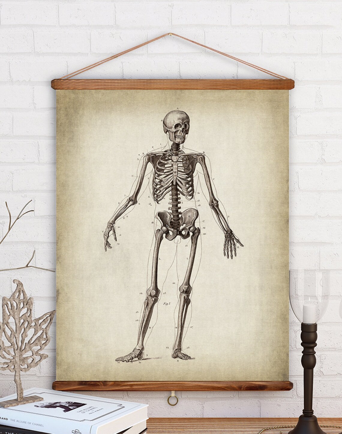 PRINTABLE Large Vintage Skeleton Poster Anatomy Print | Etsy