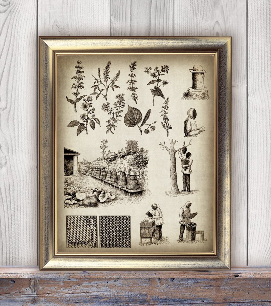 DOWNLOAD BEEKEEPING Print, Digital Apiculture Flowers Print, Honey ...