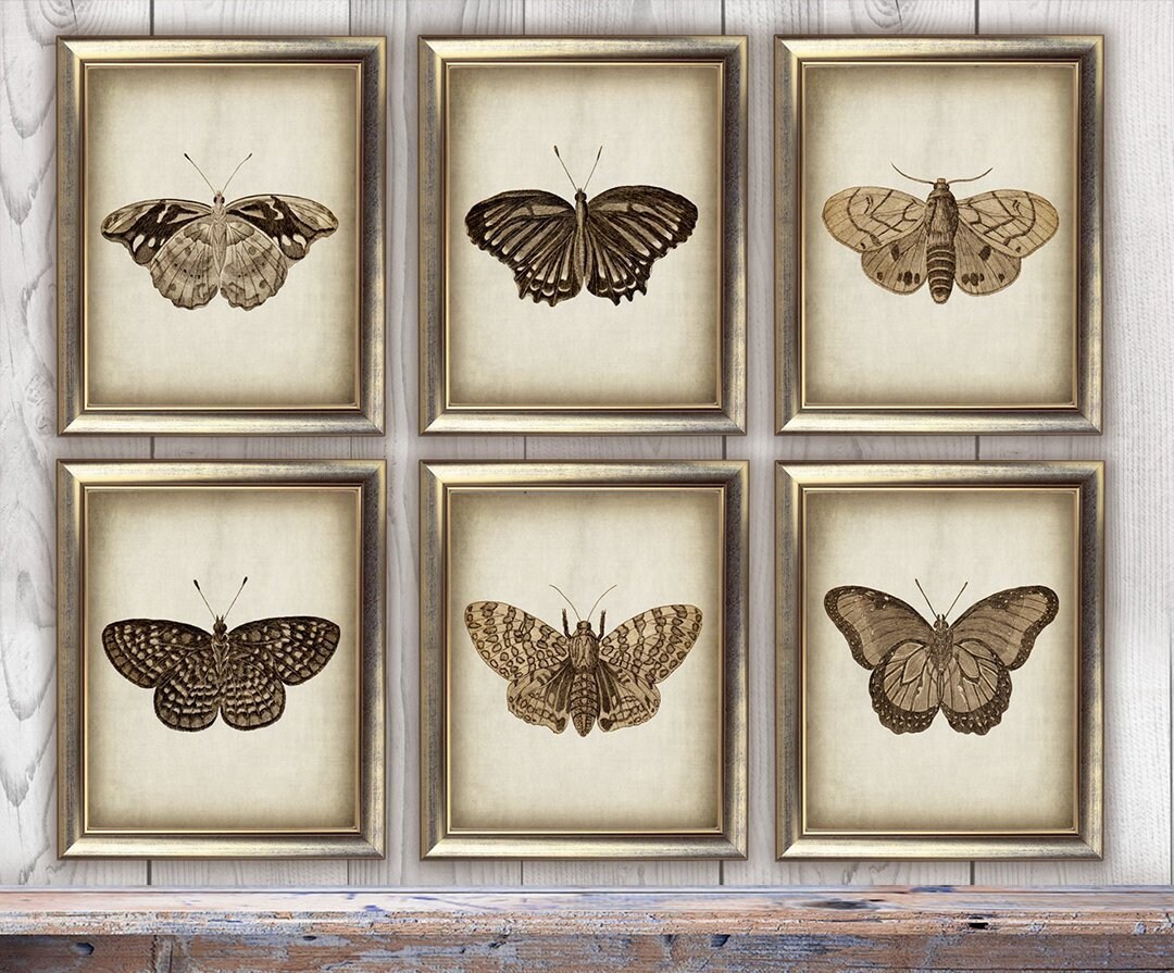 DOWNLOAD Butterfly Print SET of 6, Old Style Butterflies Printable ...