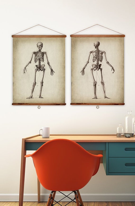 PRINTABLE Large Vintage Skeleton Poster Anatomy Print - Etsy