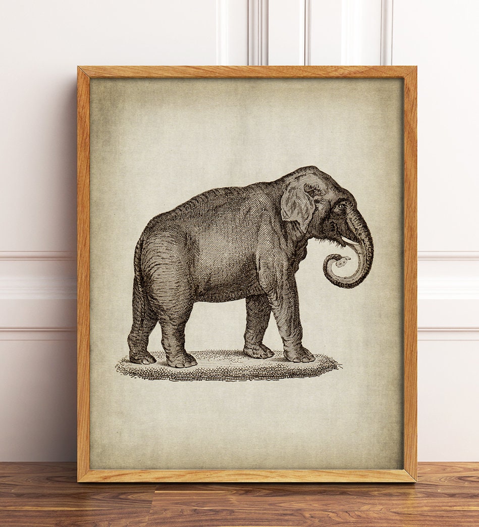 DOWNLOAD ELEPHANT Print Printable Antique Animal Image Black - Etsy