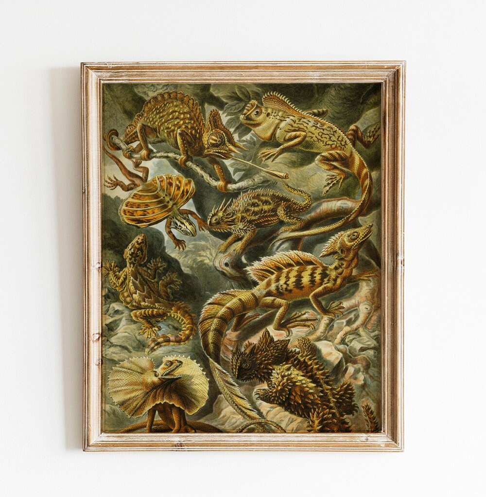 Lizards Print, Printable Lizard Chart Digital Download Illustration ...