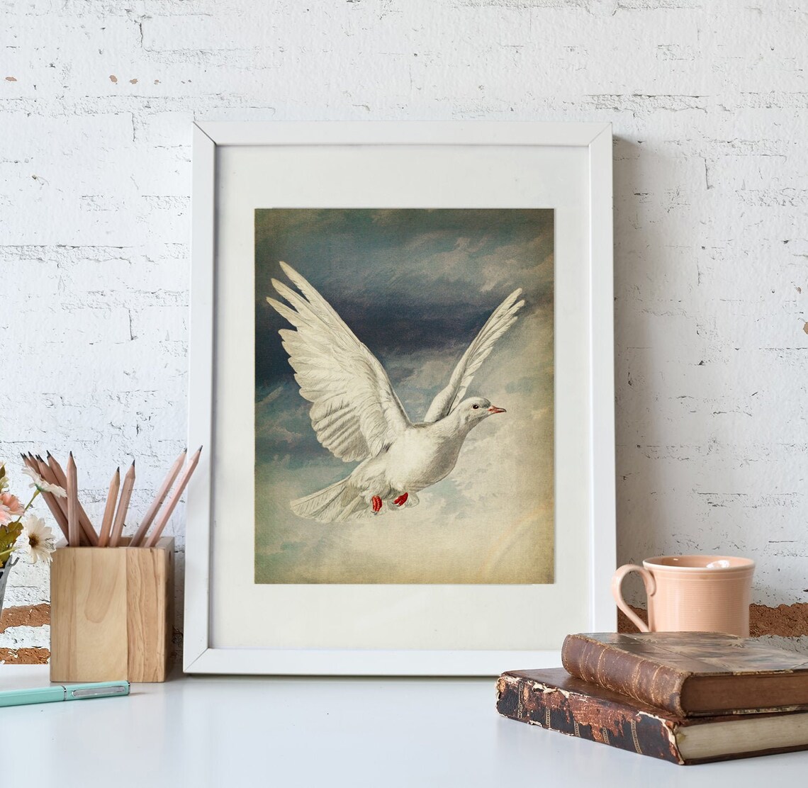 White Dove Print, Printable Bird Digital Download, Pigeon Art, Dove ...