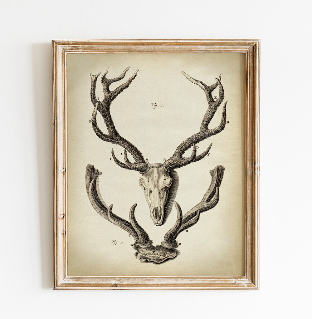 Deer Antlers Print PRINTABLE Vintage Deer Art Woodland | Etsy