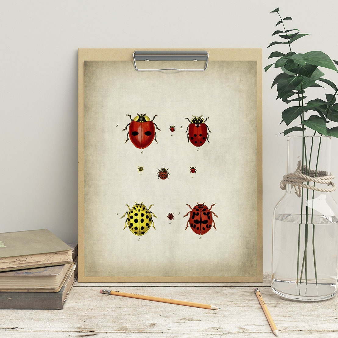 Ladybug Print SET of 2 Vintage Insect Printable Wall Art Home - Etsy