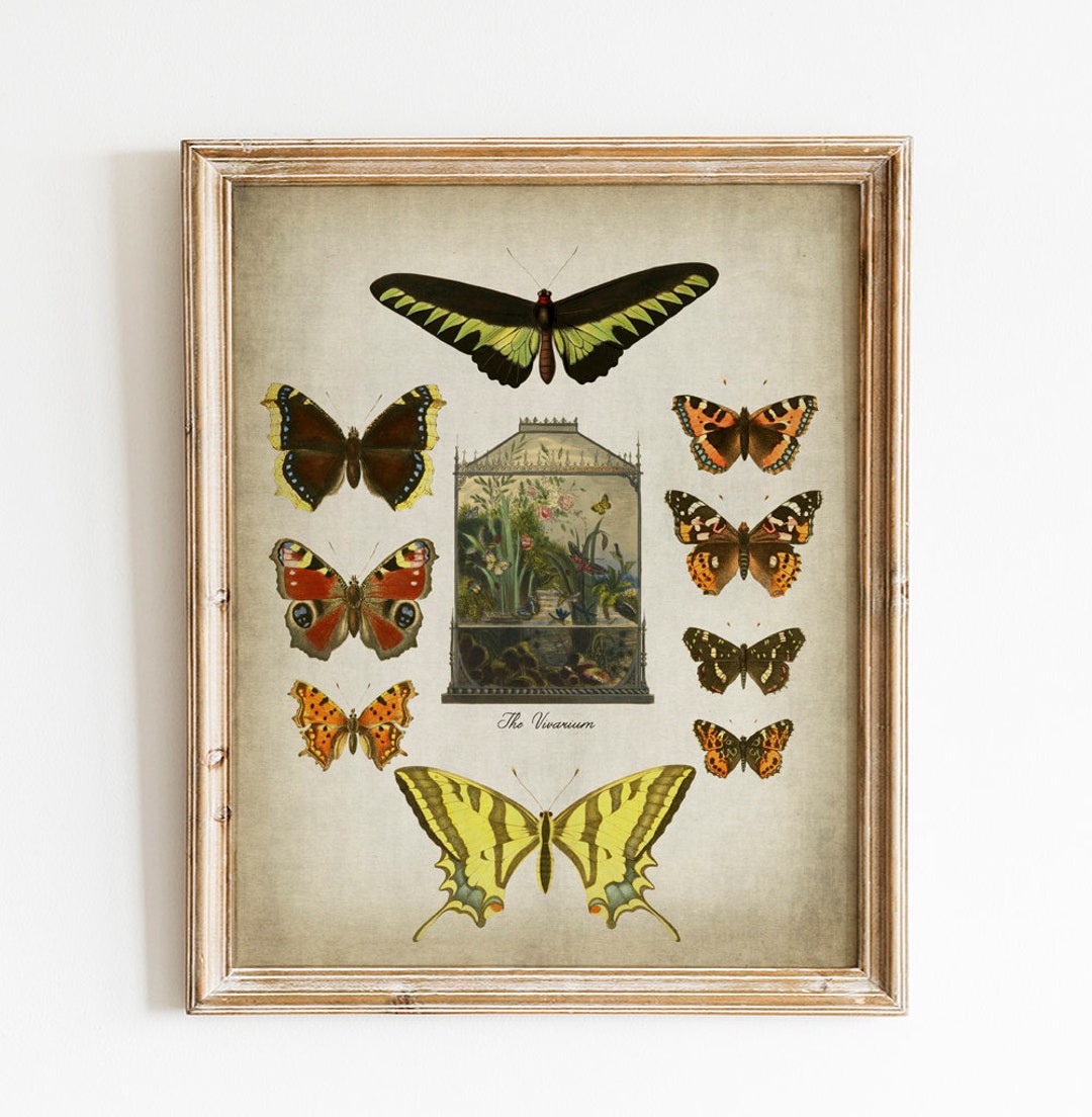 Butterfly Vivarium Art Print, INSTANT DOWNLOAD Victorian Butterflies ...