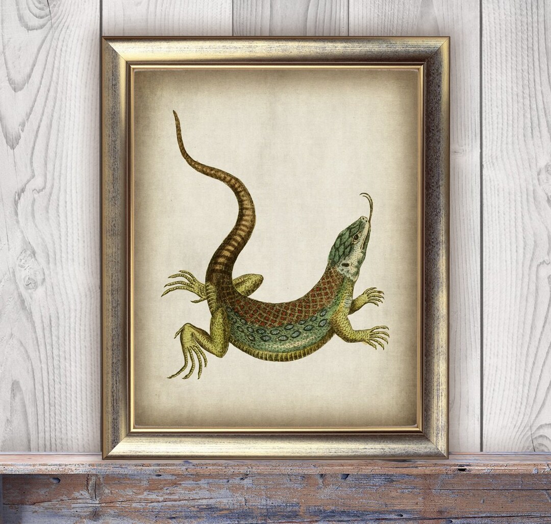 PRINTABLE LIZARD Print, Digital Download Antique Animal Image, Nature ...