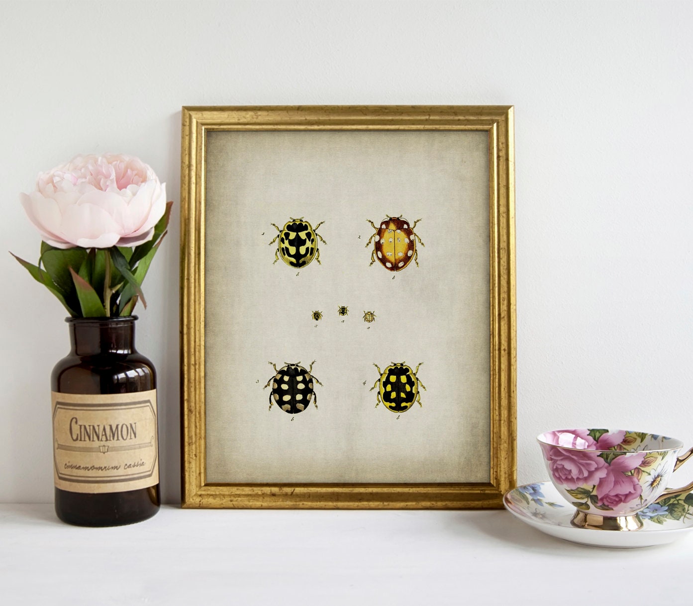 Ladybug Print SET of 2 Vintage Insect Printable Wall Art Home - Etsy