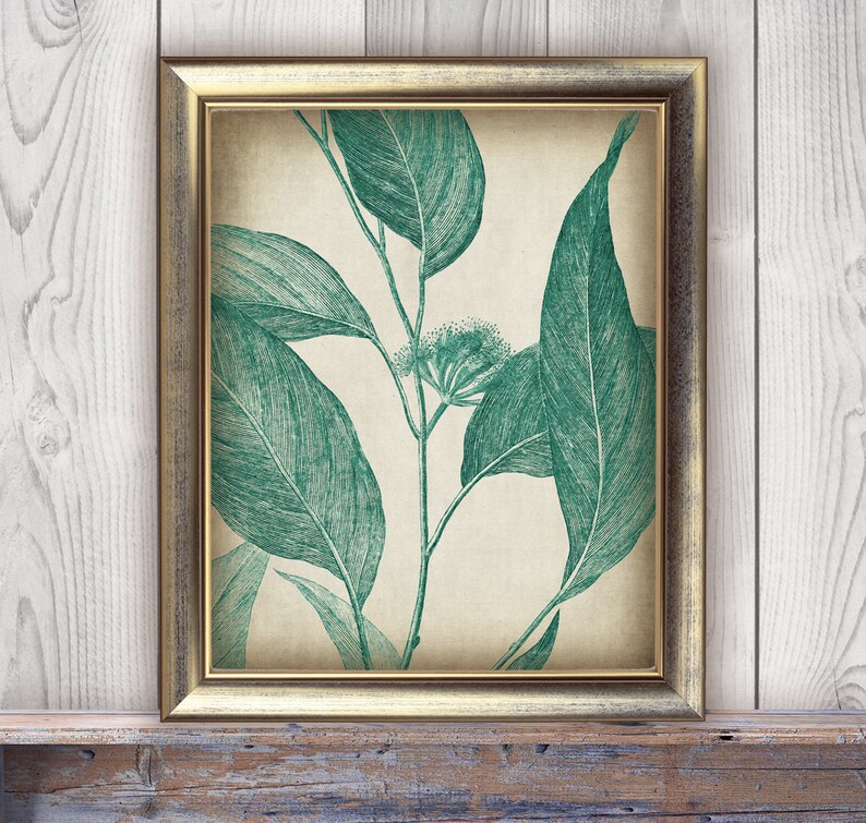 BOTANICAL Print SET of 4 PRINTABLE Green Plants, Eucalyptus Botanical ...