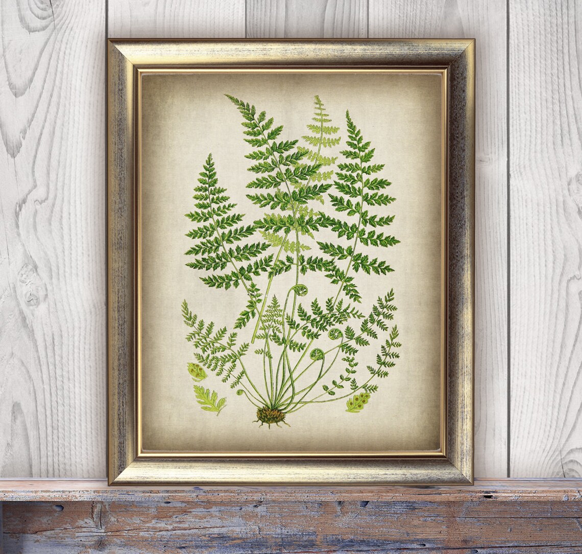 DOWNLOAD Botanical Fern Print SET of 6 Printable Print - Etsy