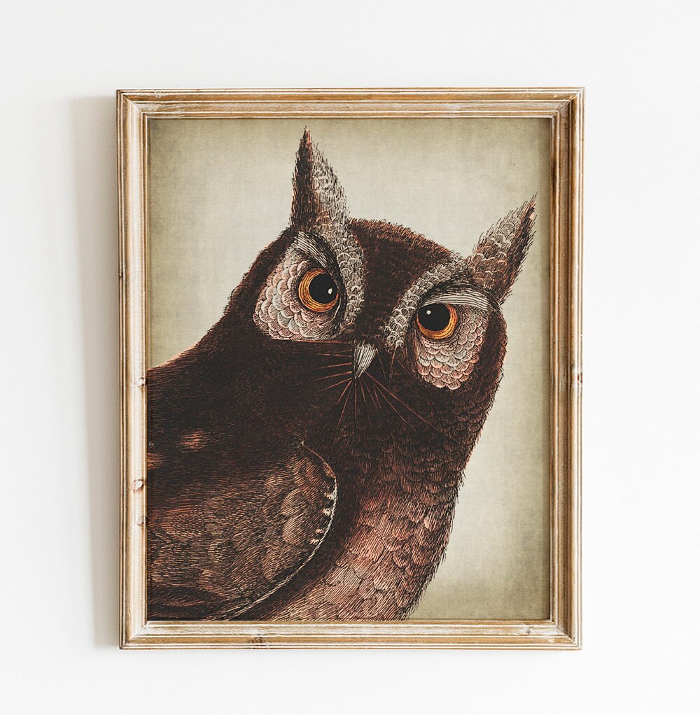 Owl Print PRINTABLE Vintage Art Close-up Bird Fauna Animal - Etsy