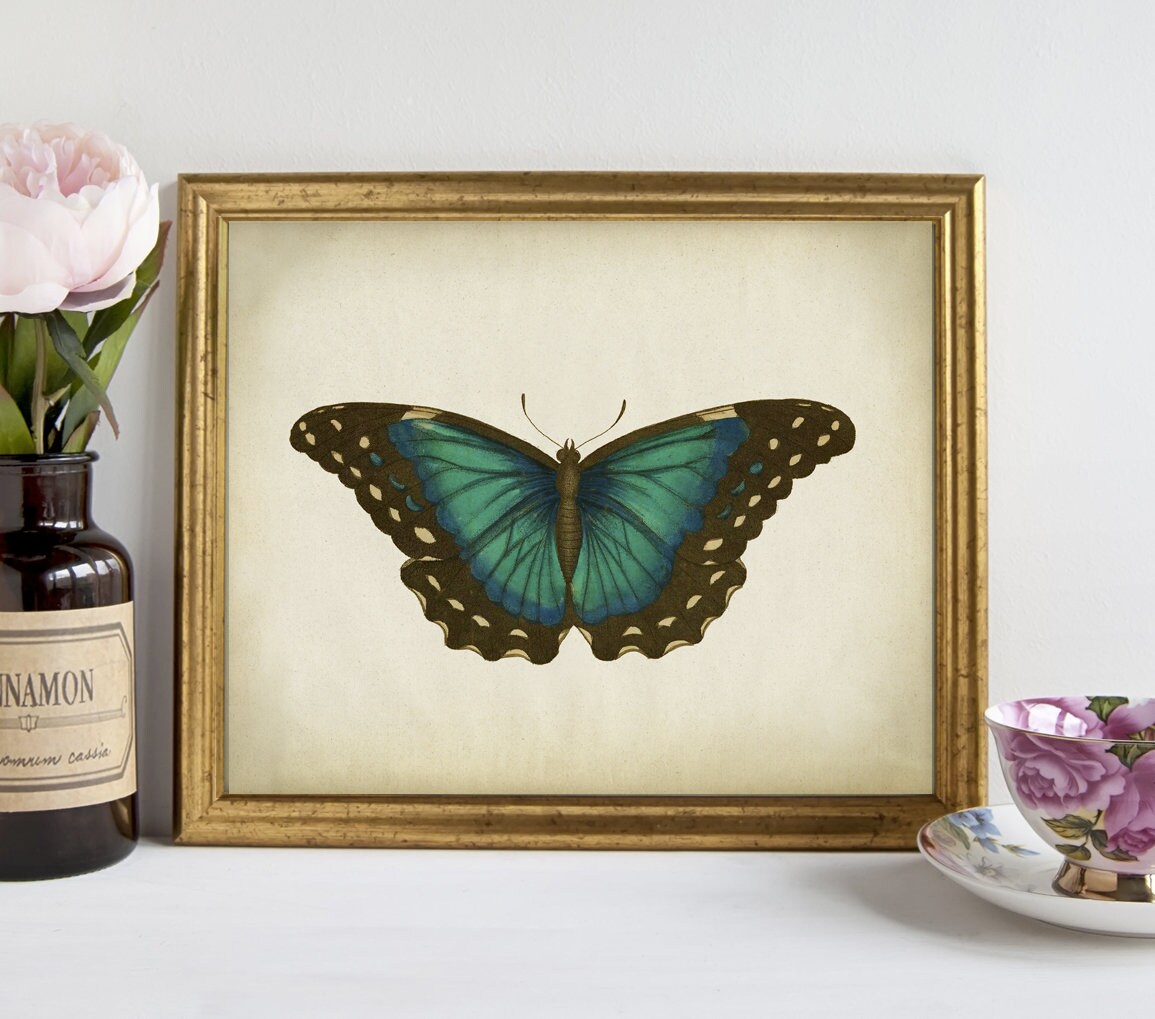 Butterfly Print SET of 3 PRINTABLE Vintage Butterfly Art - Etsy