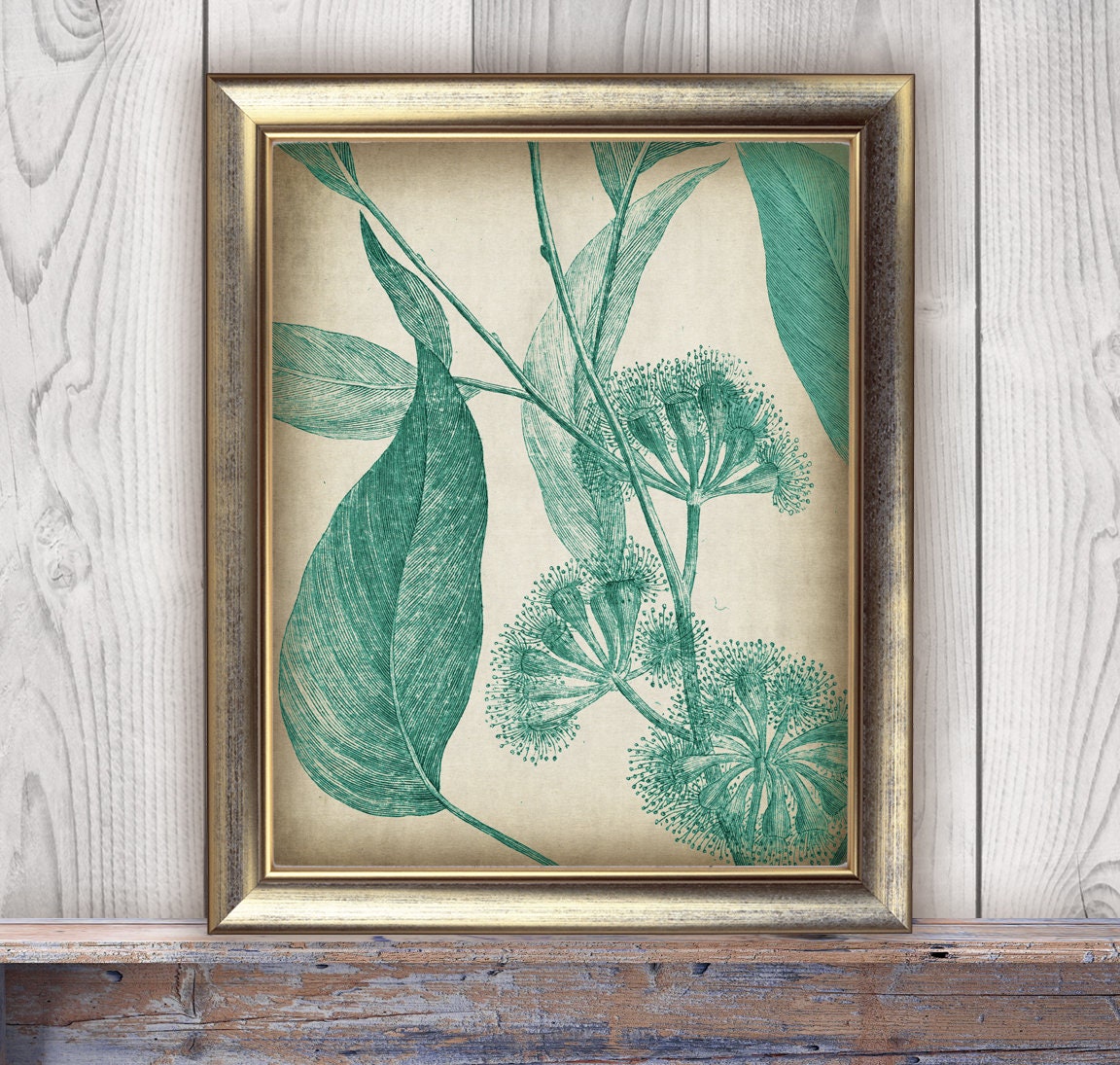 BOTANICAL Print SET of 4 PRINTABLE Green Plants, Eucalyptus Botanical ...