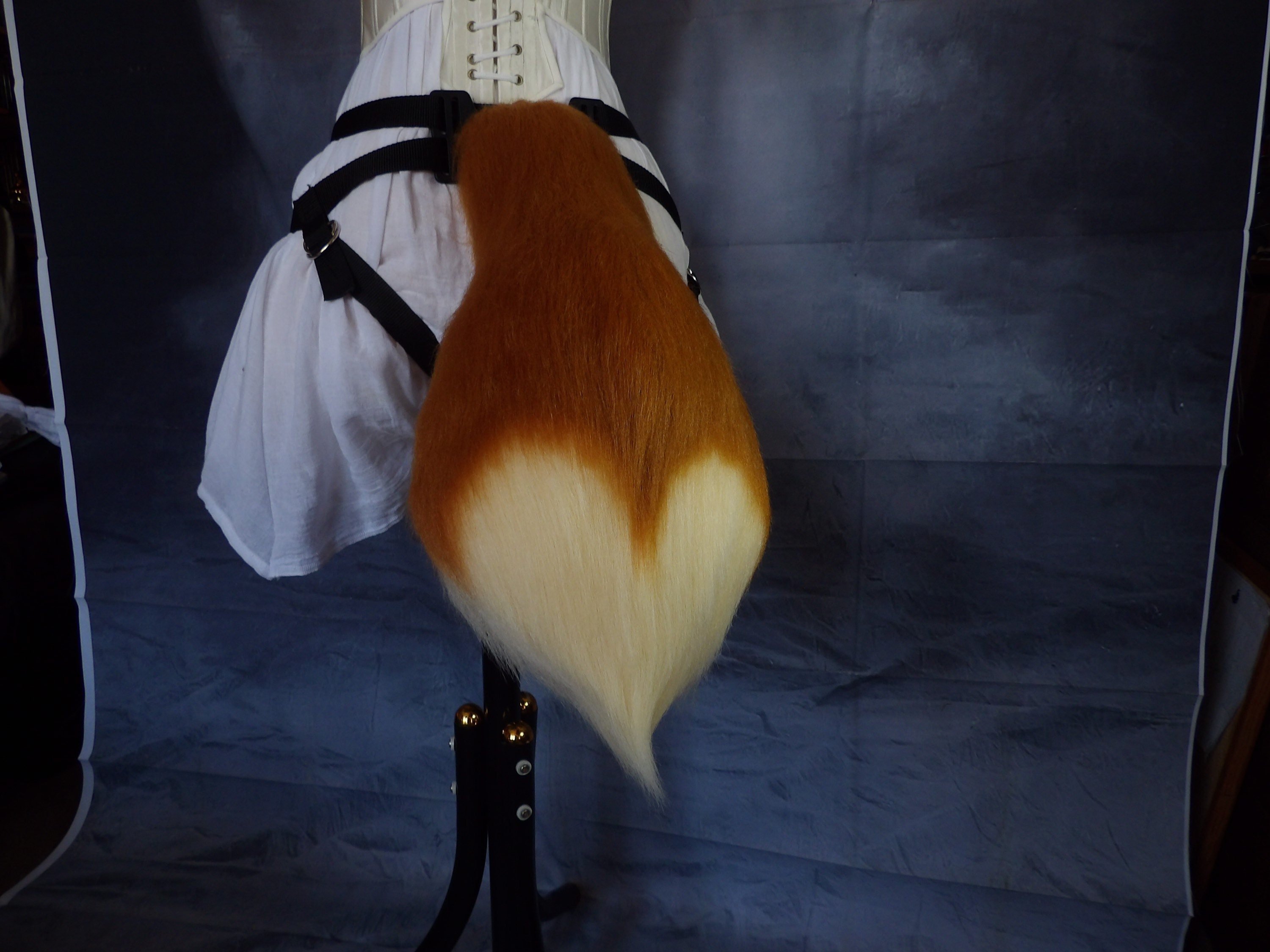 Eevee Tail