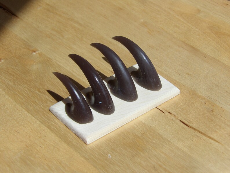 Natural Brown Claws - Etsy