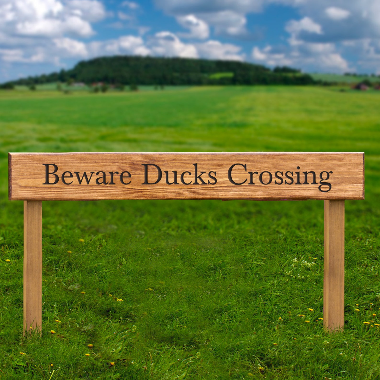 Personalised Engraved Wooden Garden Sign Ideal Present for - Etsy