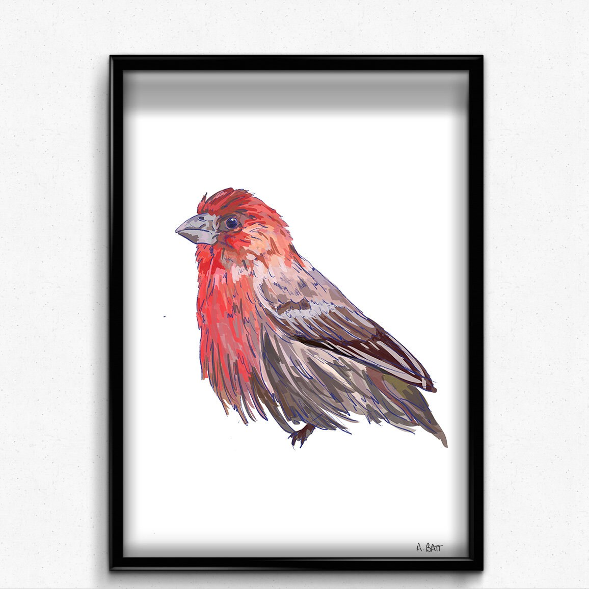 House Finch Print/ Finch/ Bird Print/ Digital Art Print/ Country Style ...