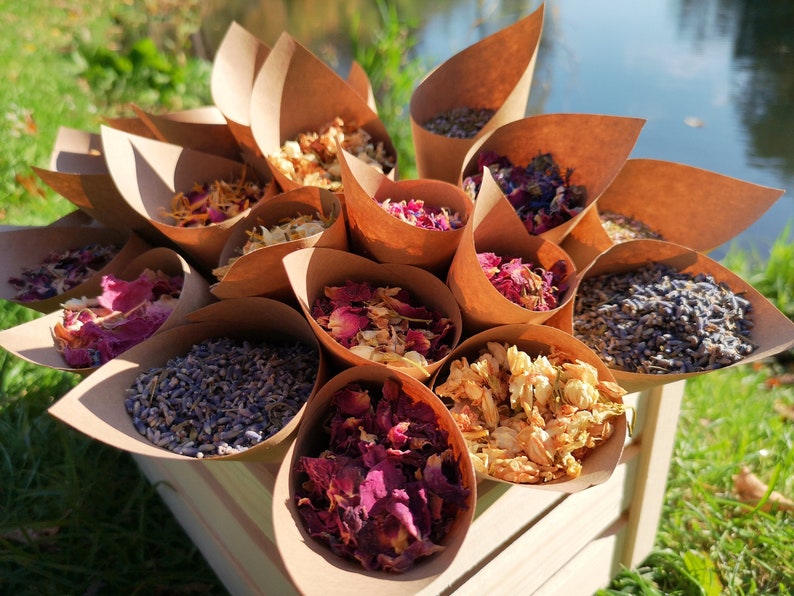 Wedding confetti Biodegradable confetti Petal confetti | Etsy