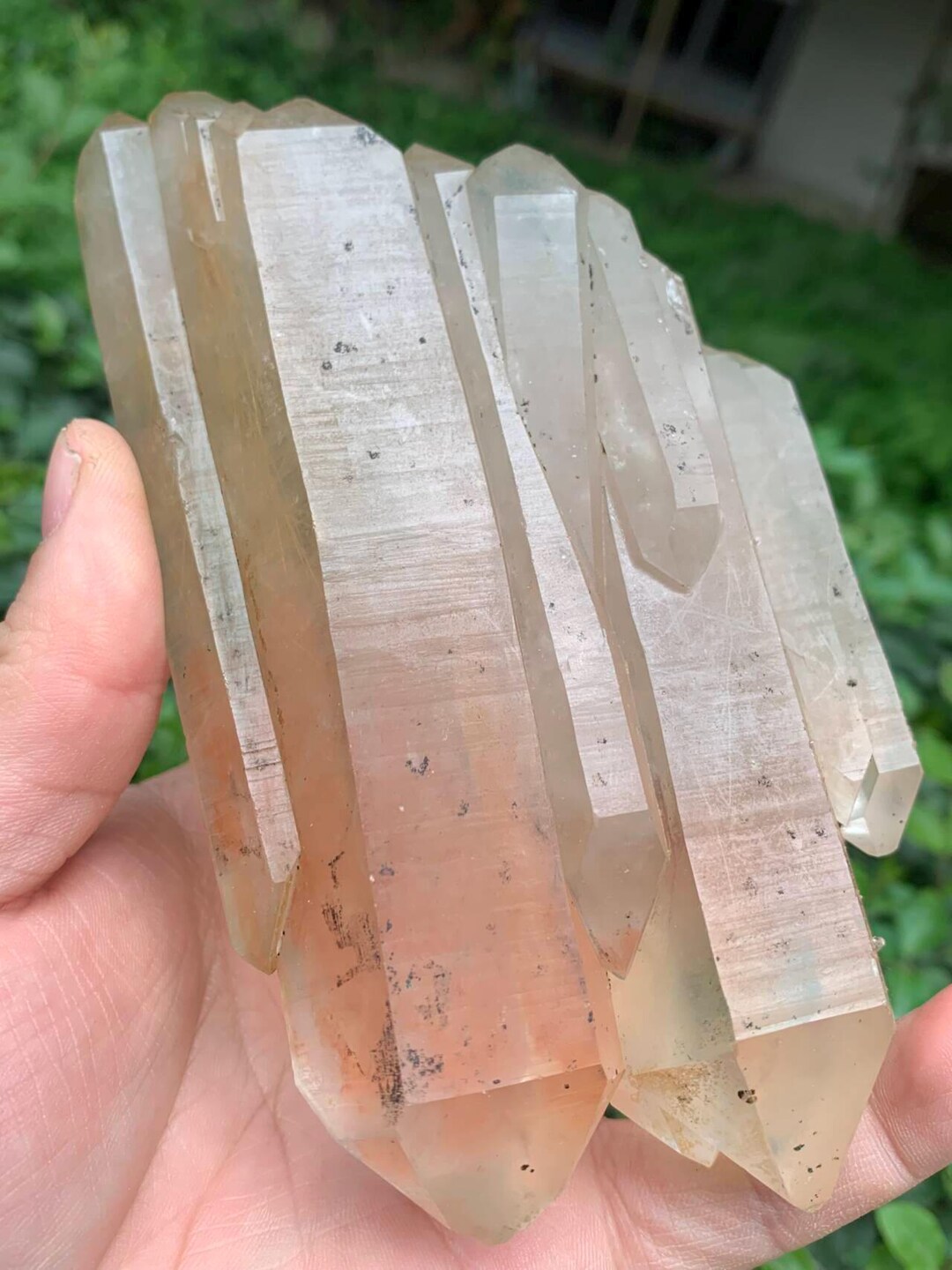Rare Himalayan Tabular Multiple Quartz Crystals/clear Himalayan Energy ...