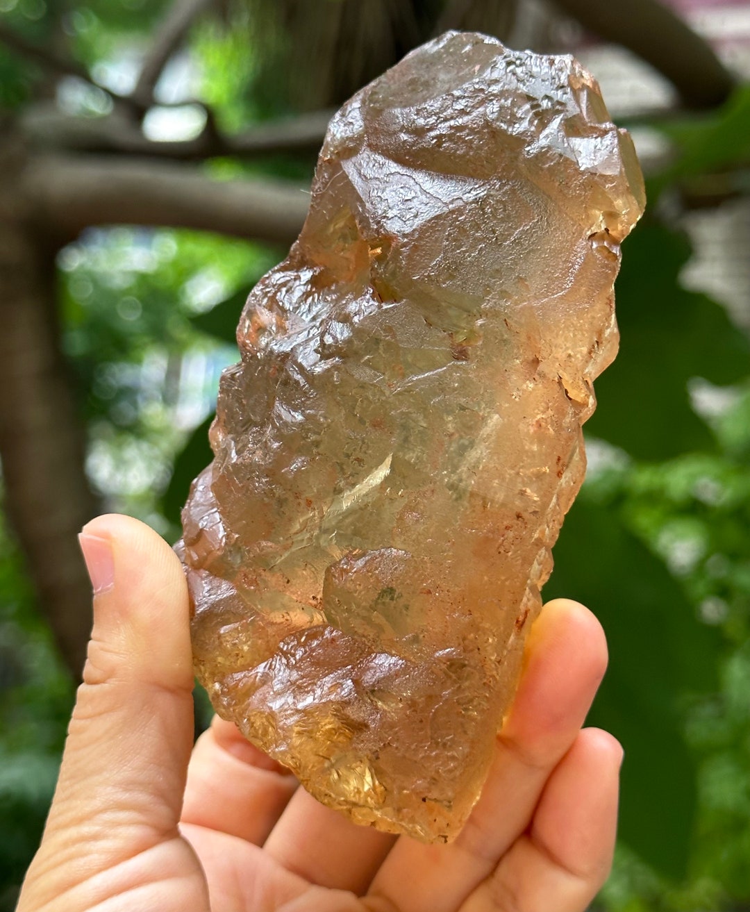 Raw Clear Record-keeper Nirvana Citrine Crystal Point/energy Quartz ...