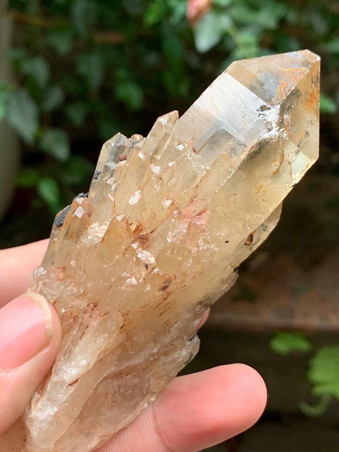 Citrine Comes From African Congo/cactus Citrine Crystal Specimen/castle ...
