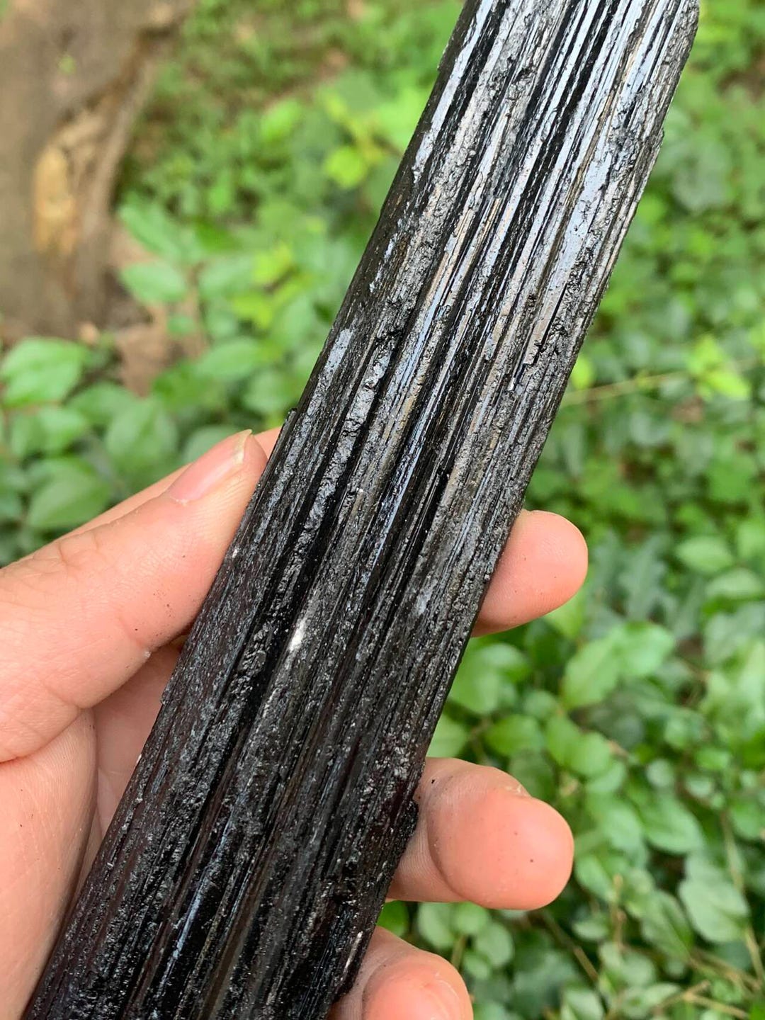 206g Natural Black Tourmaline Specimen/black Tourmaline Rock/raw ...