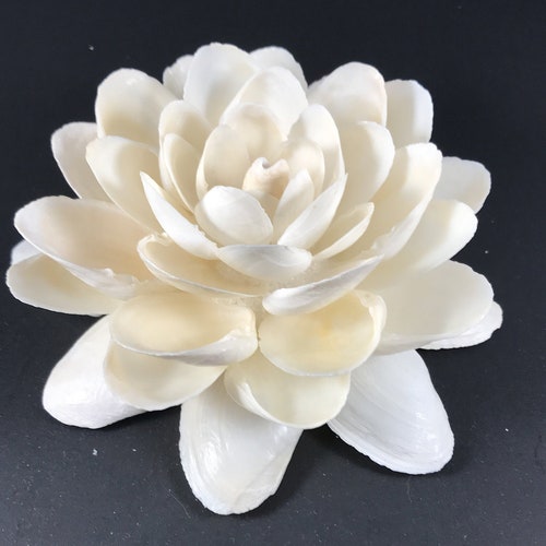 Lily Seashell 'dried' Forever Flower Handmade With - Etsy