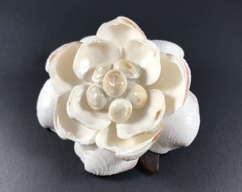 Lily Seashell 'dried' Forever Flower Handmade With | Etsy