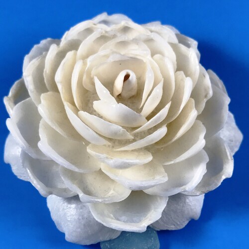 Delicate Rose 'forever' Seashell Flower Handmade With - Etsy