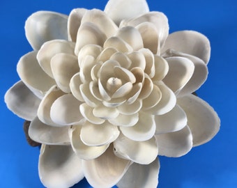 Lily Seashell 'dried' Forever Flower Handmade With | Etsy