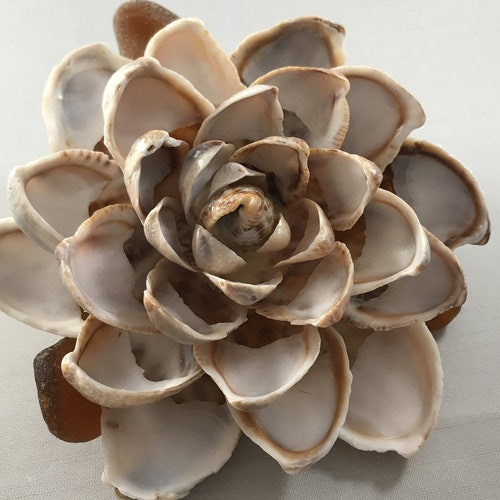 Delicate Rose 'forever' Seashell Flower Handmade With - Etsy