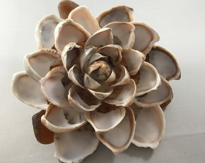 Dried Look Seashell Forever Flower Handmade With Natural Slipper Shells ...