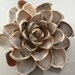 Lily Seashell 'dried' Forever Flower Handmade With Natural Florida ...
