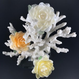 Delicate Rose 'forever' Seashell Flower Handmade With Natural Florida ...