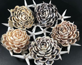 One of a Kind Intricate Seashell Flower Stem - Etsy